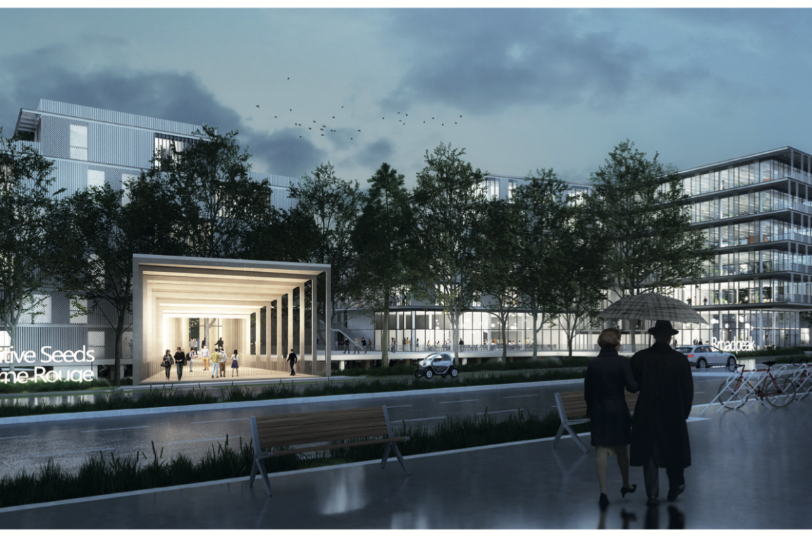 Creative Seeds – RECA Animation